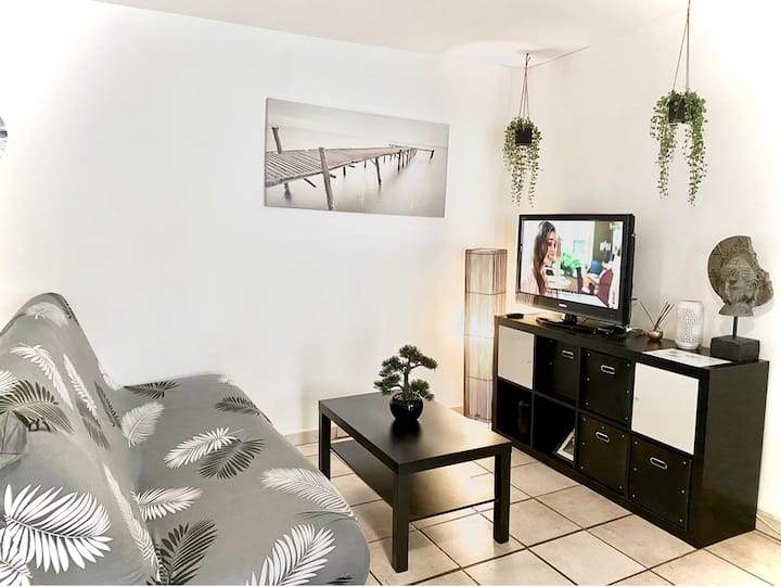 Appartement Centre Bastide - Carcassonne
