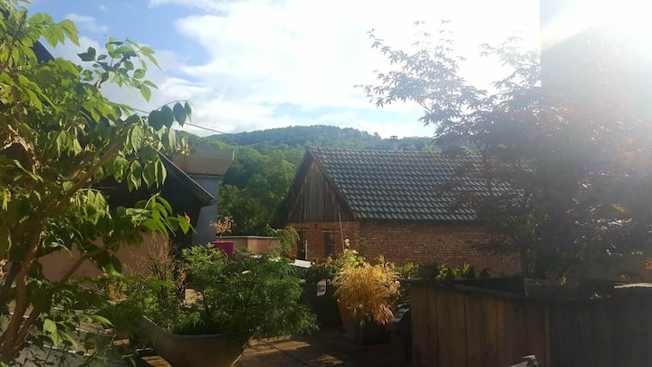 Appartement "Côté Nature" Au Cœur De Munster - Soultzmatt