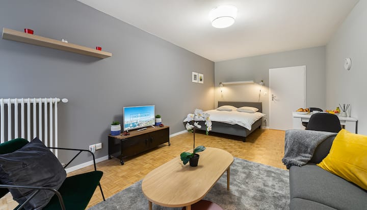 Fully Equipped Studio In Paquis - 683000 - Genf
