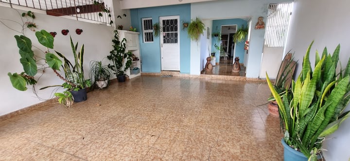 Casa Cheia De Arte E Plantinhas. - Pindamonhangaba