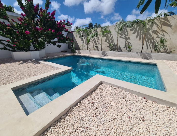 Flamingo - Curaçao