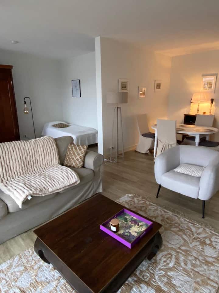 Appartement Plein Centre Angers - Angers