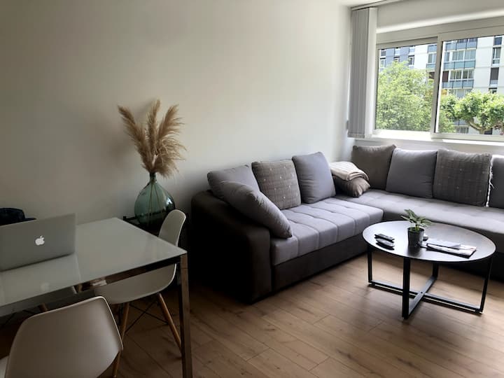 Charmant 3 Pièces à 10 Mn Du Lac - Annecy-le-Vieux