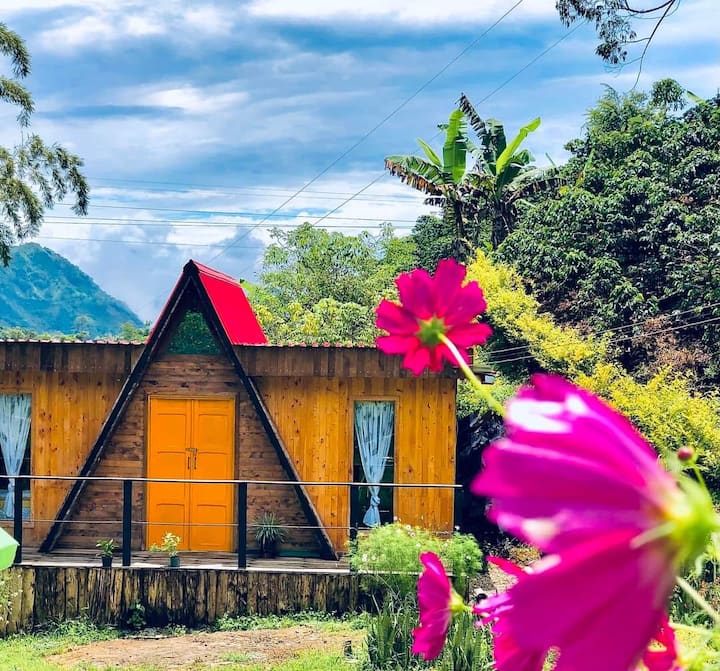Cabaña Ecobambusa - 維多利亞