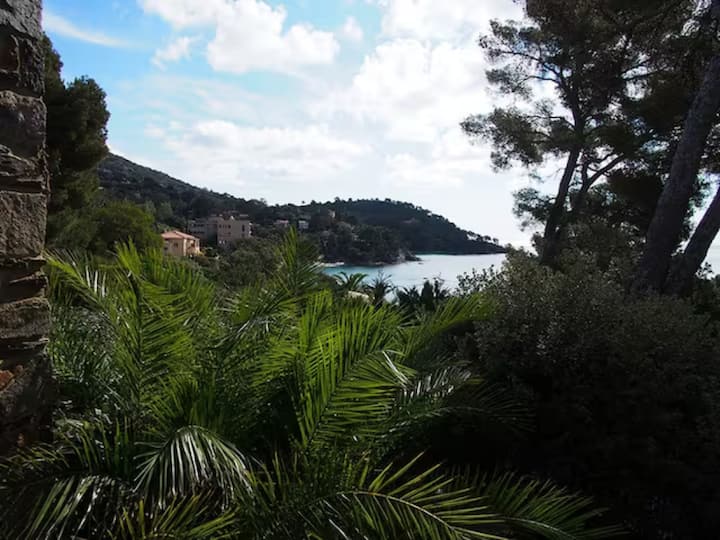 Maison Vue Domaine Rayol - Rayol-Canadel-sur-Mer