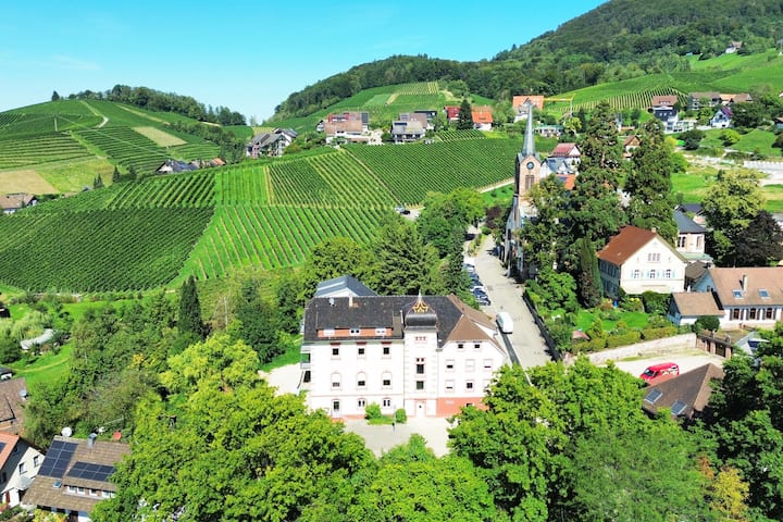 Living Timeless Adler Apartments Deluxe Balkon - Sasbachwalden
