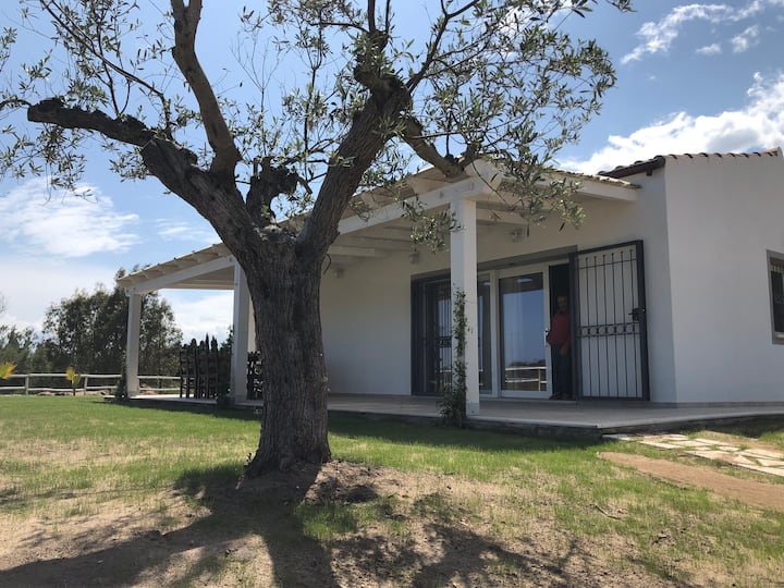 Cottage à Orosei Près De La Mer - Orosei
