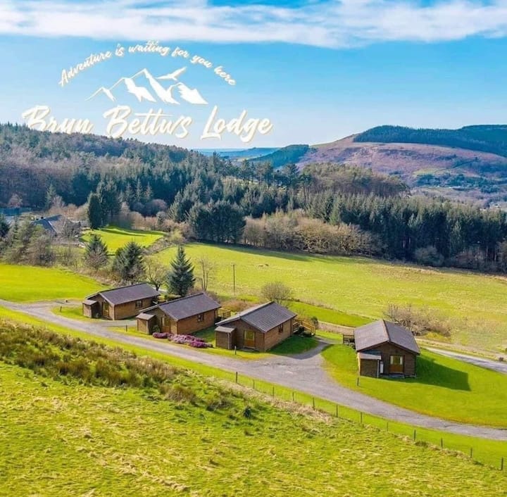 Cabin With Hot Tub @ Bryn Bettws - Port Talbot