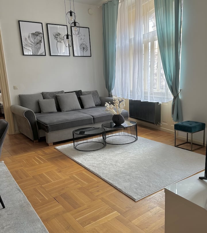 Elegant & Spacious Apartment • Ac • Fast Wi-fi - Praga