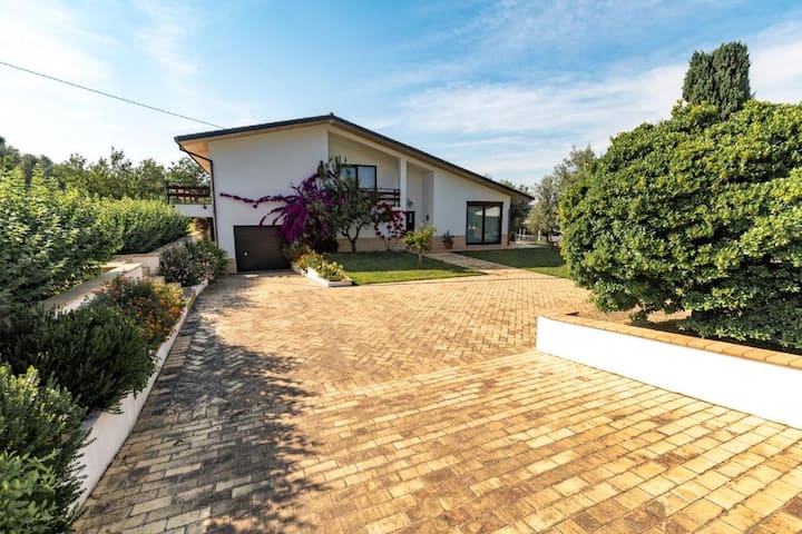 Un’oasi Immersa Nell’uliveto - Abruzzo