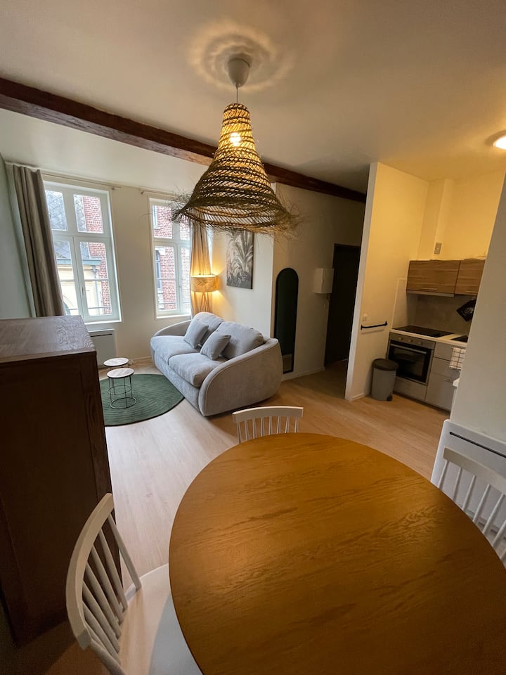 Magnifique Studio Vieux Lille - ibis budget Lille Centre