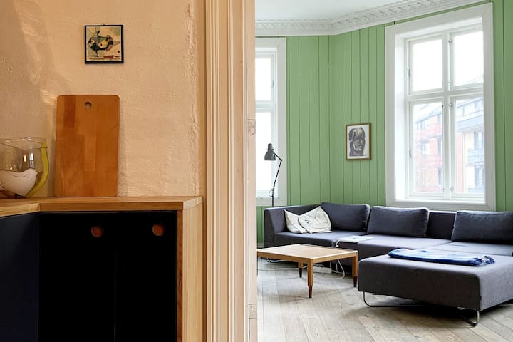 Flat In Central Oslo Close To Botanical Gardens - Oslo