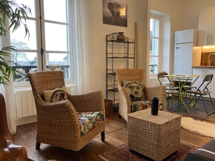 Les Châteaux De La Loire Avec Vos Proches - Blois