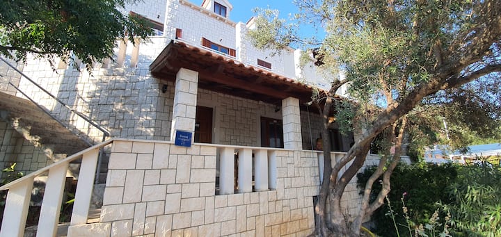 Apartmani Pjevalo-mljet
-More- - Pomena