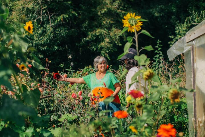 Casa De Campo Y Jardín De Eva. - Los Ríos