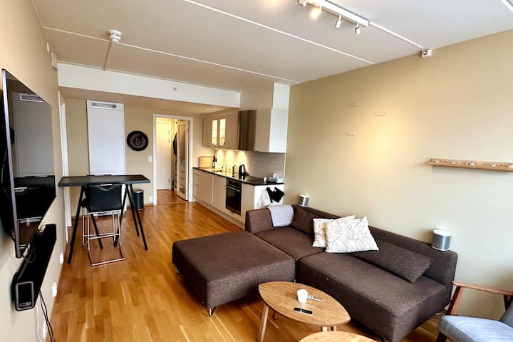 Sentral To-roms Toppleilighet – Med Solrik Balkong - Oslo