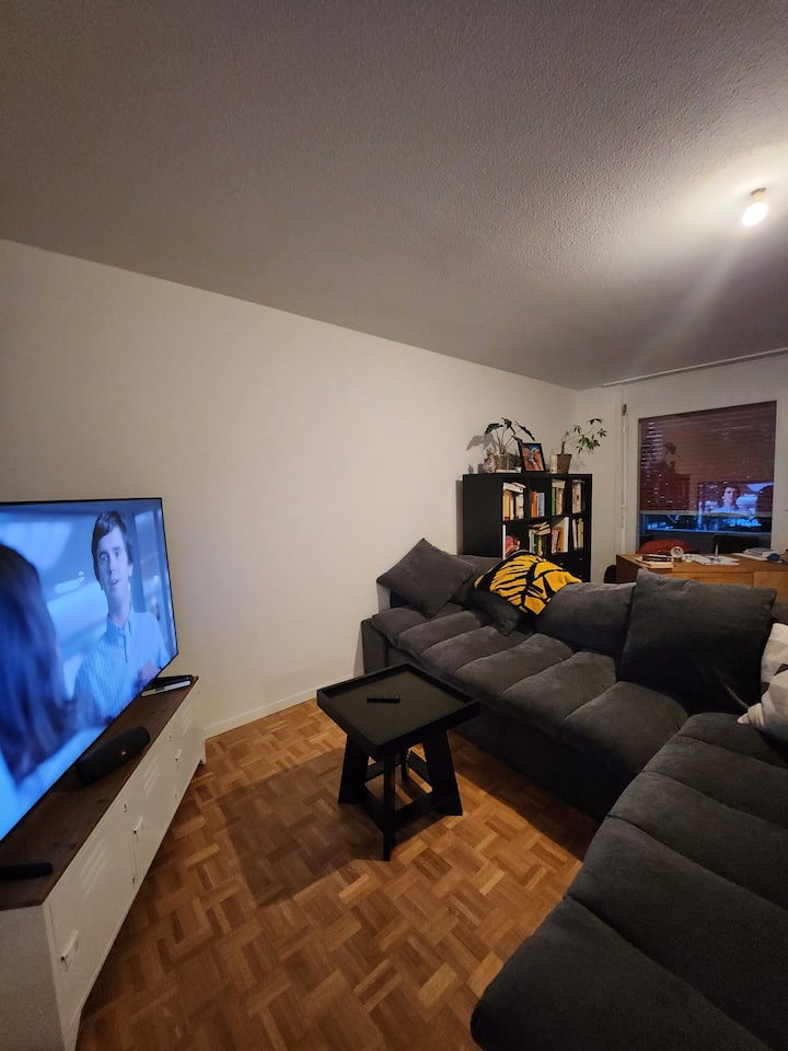 Flat In The Heart Of Lausanne! - Lausanne