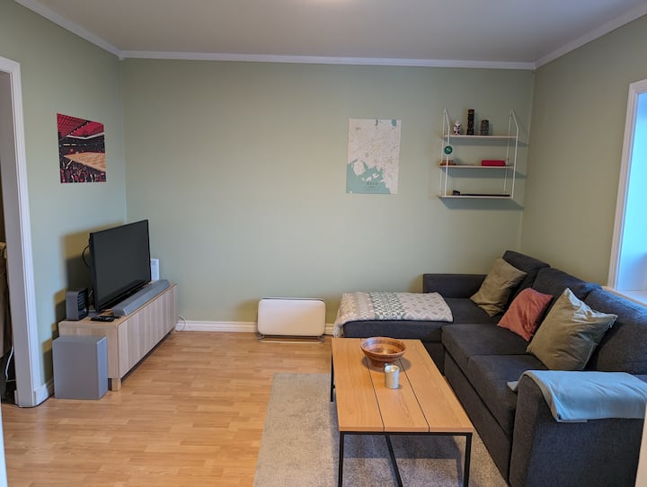 Koselig Leilighet Sentralt I Oslo - Oslo