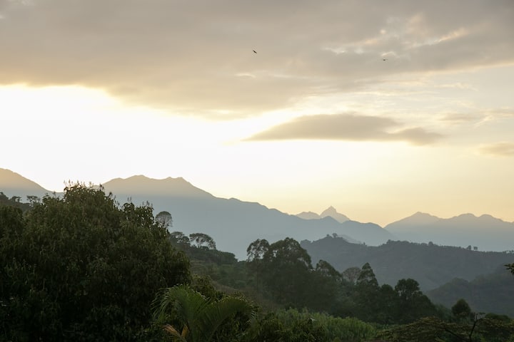 Azucena:  Atardeceres Inolvidables - Jardín
