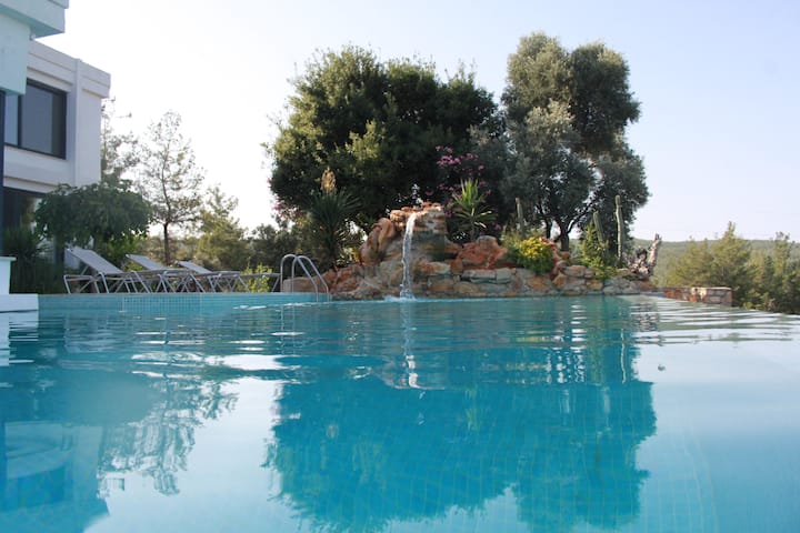 Orman Içinde Huzur Dolu Sakinlik - Mazıköy