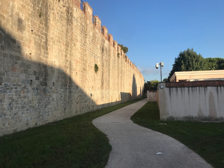 Casa Centrale Con Giardinetto - Pise