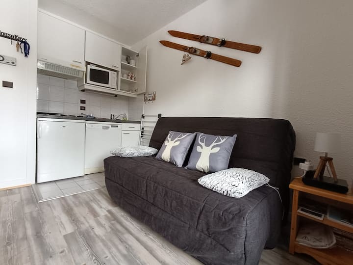 Studio  2/4 Pers Taninges (Praz-de-lys). - Taninges