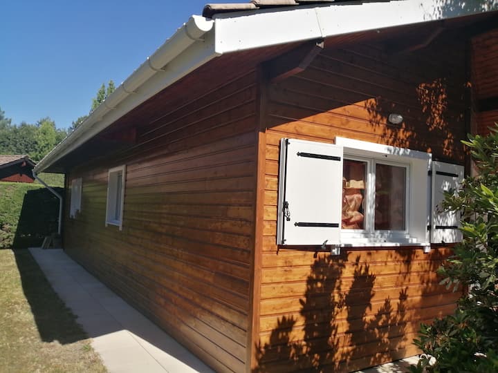 Maison Dans Une Bulle De Verdure - Lacanau