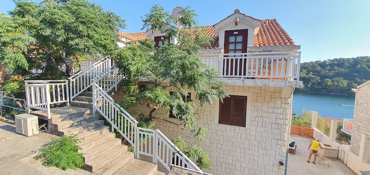 Apartmani Pjevalo-mljet
Lavanda - Pomena