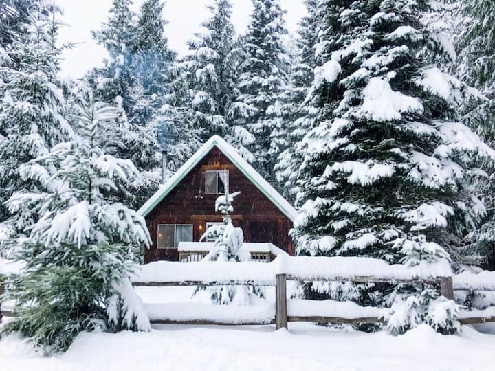 Escape To Elk Run - Cozy Cabin In The Pnw Woods - State of Washington