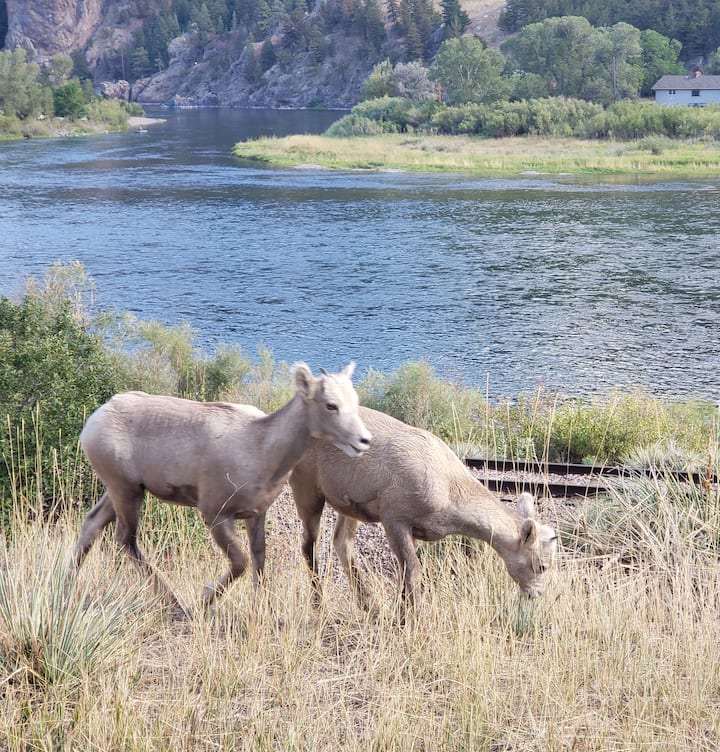 Hardy Creek Hideaway - Cascade, MT