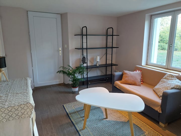 Séjour En Rez De Jardin Et Chambre - Écully