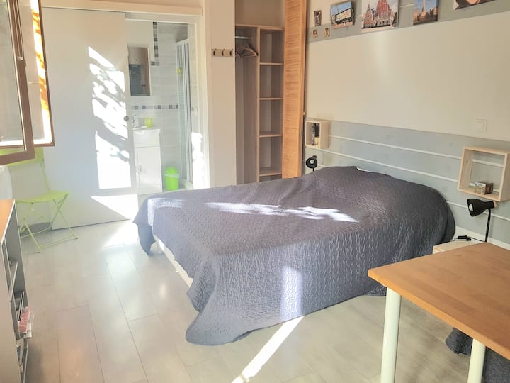 Studio Riga 250m Des Télécabines Et Thermes - Ax-les-Thermes