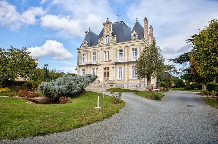 Château - Chalonnes-sur-Loire