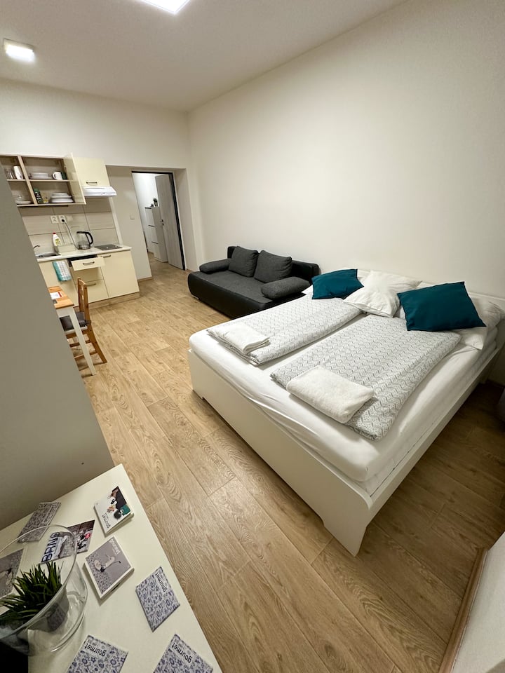 Apartment Standard For 4 Persons And Parking - Brno