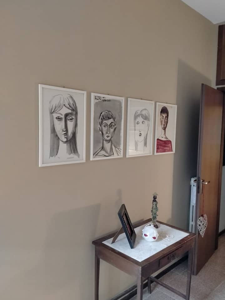 Appartamento Con Terrazzo - Pavia