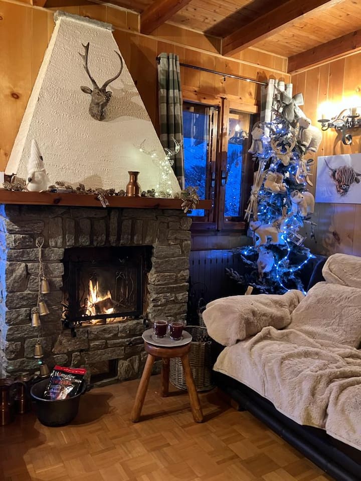 Beautiful Italian Mountain Ski Apartment - La Thuile