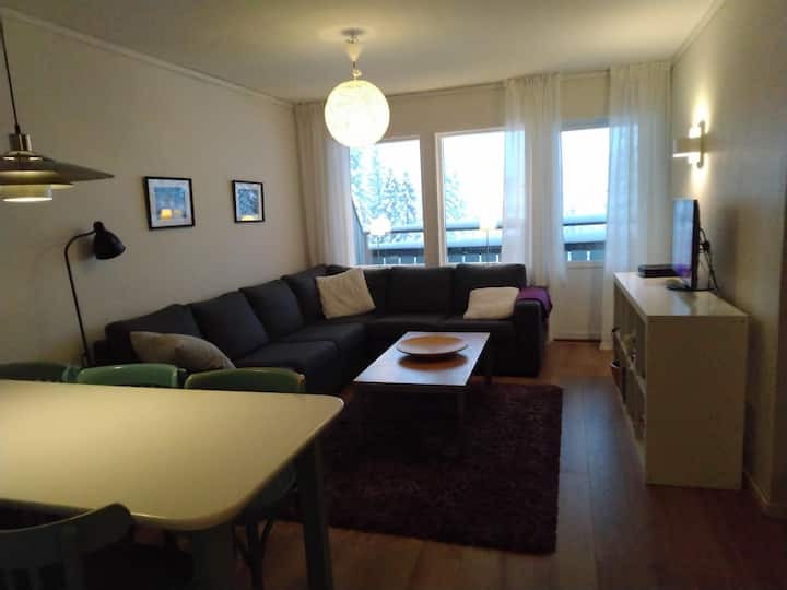 Ski In Ski Out In ÅRe Björnen - Åre