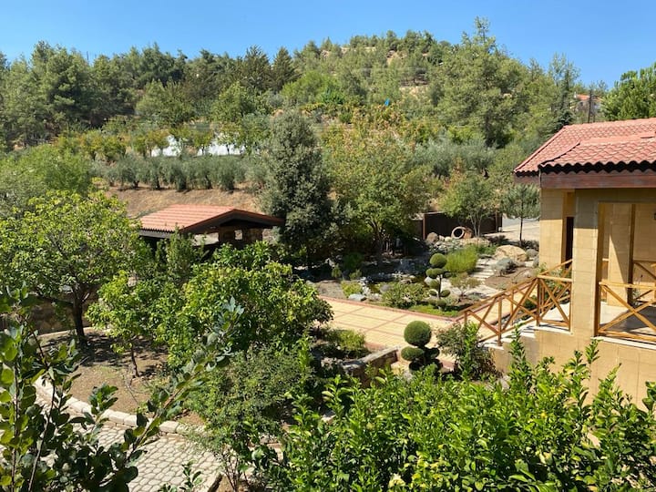 Traditional Winery Villa - Northern Cyprus