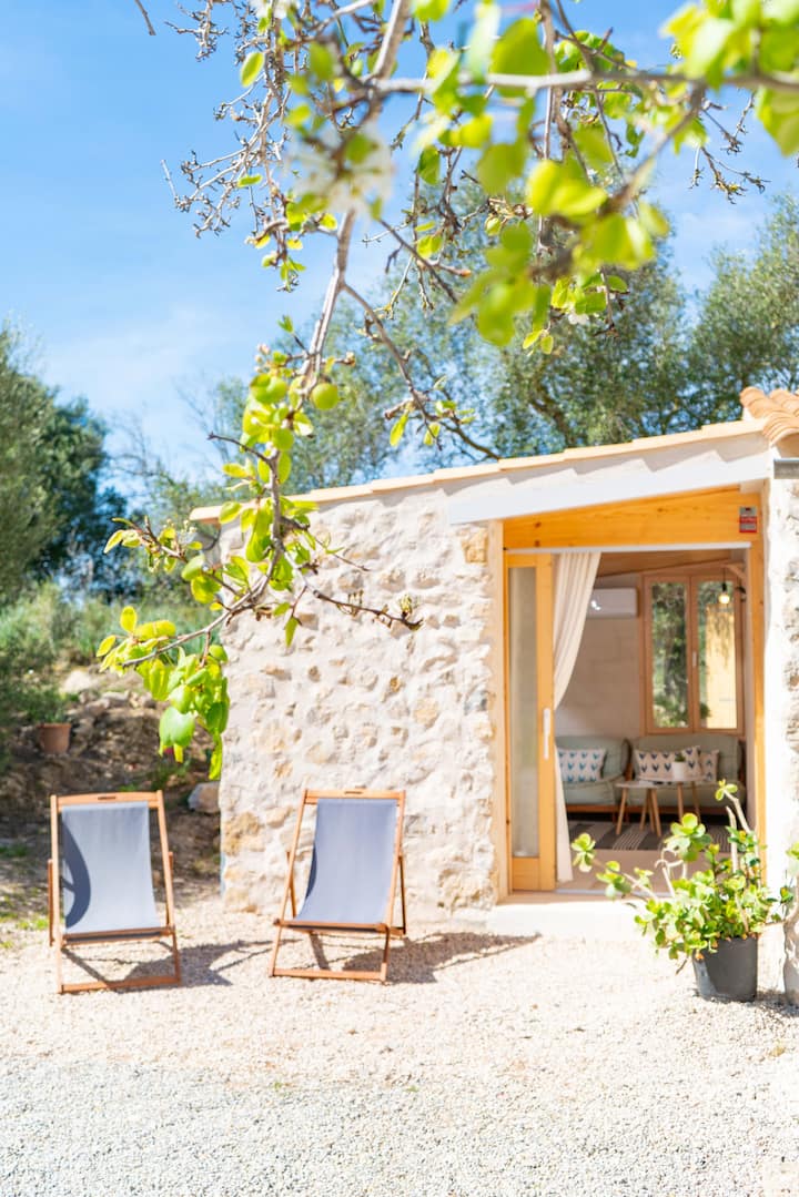 Villa Son Fe By Homevillas360 - Pollença