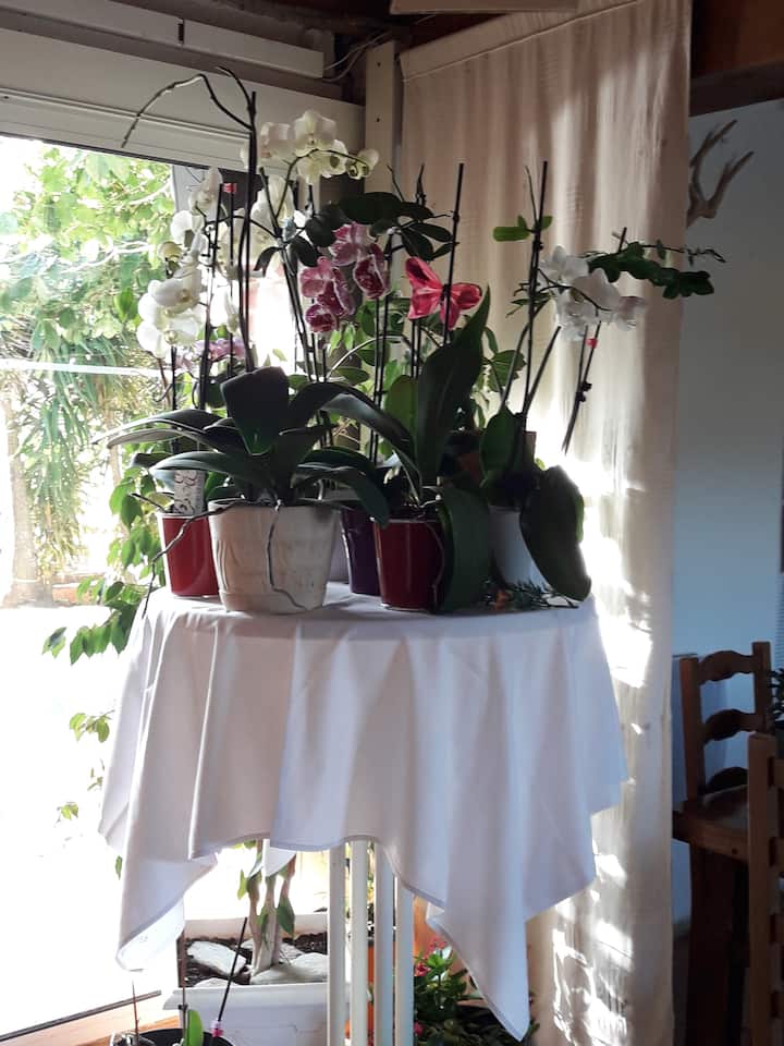Chambre Dans Un Mas Catalan - Le Boulou