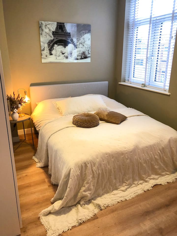 Solamor Room - The Hague