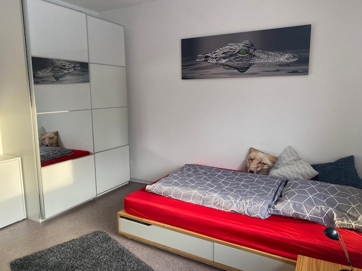 (3)gemütliches, Geräumiges Zimmer Mit Arbeitsplatz - Aschaffenburg