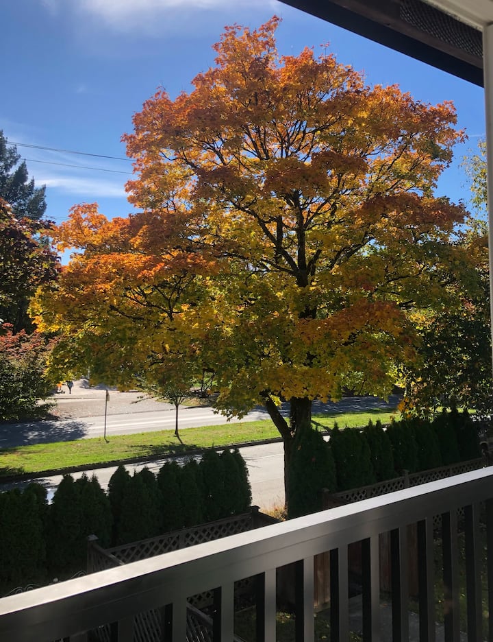 Family Home - Direct Bus To Fifa & Dt- 3km To Ubc - Vancouver