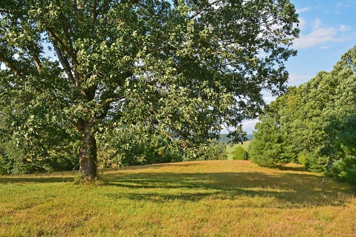 Tent Camping In Highland County - Campsite #1 - Monterey, VA
