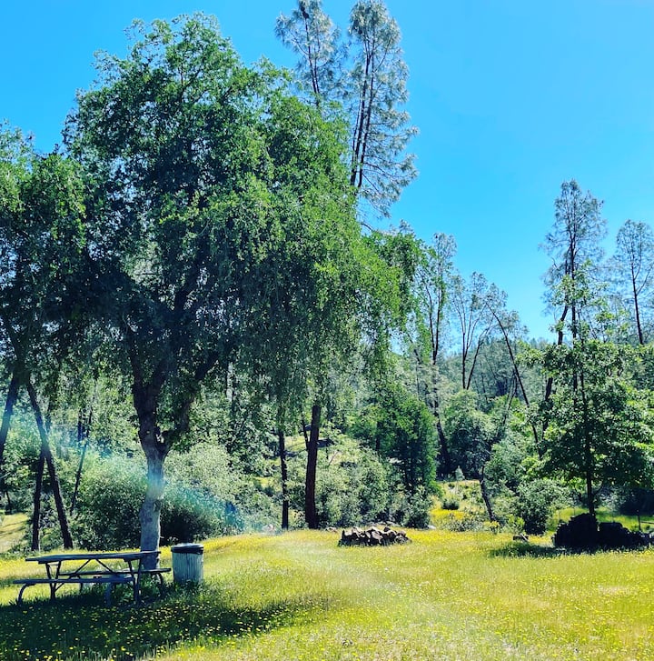 Walker Mine Meadow View Campsite - Shasta, CA
