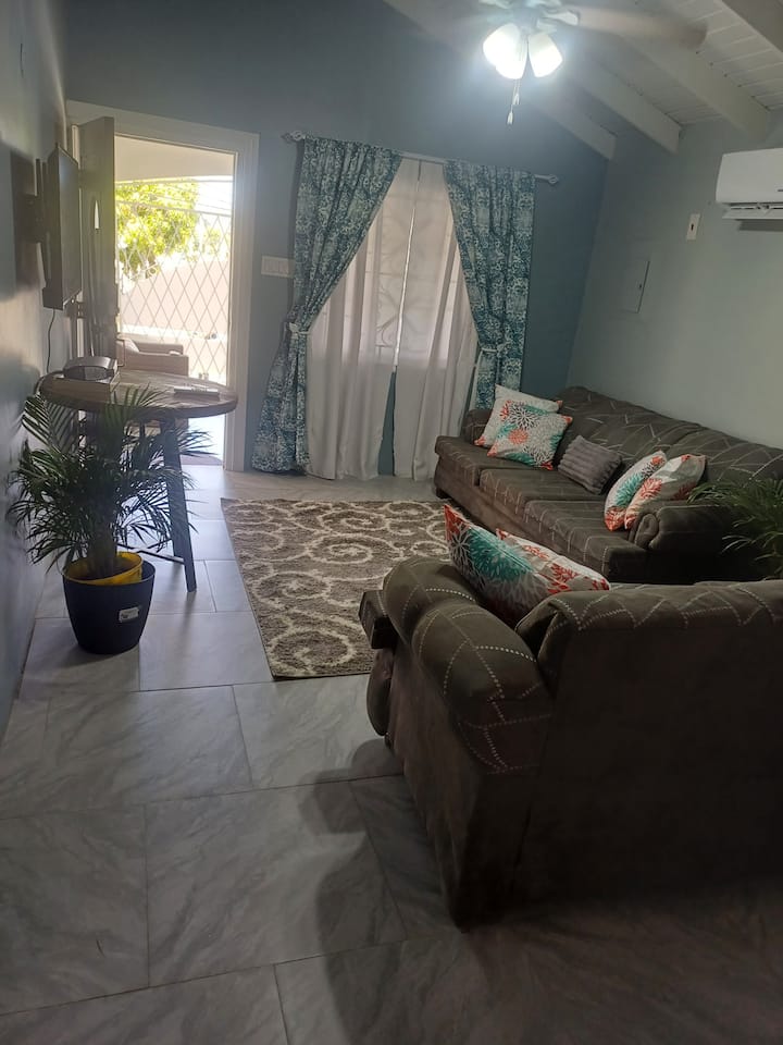 Victory Suites Apartment - 2bed 1bath, With Car - Montego Bay