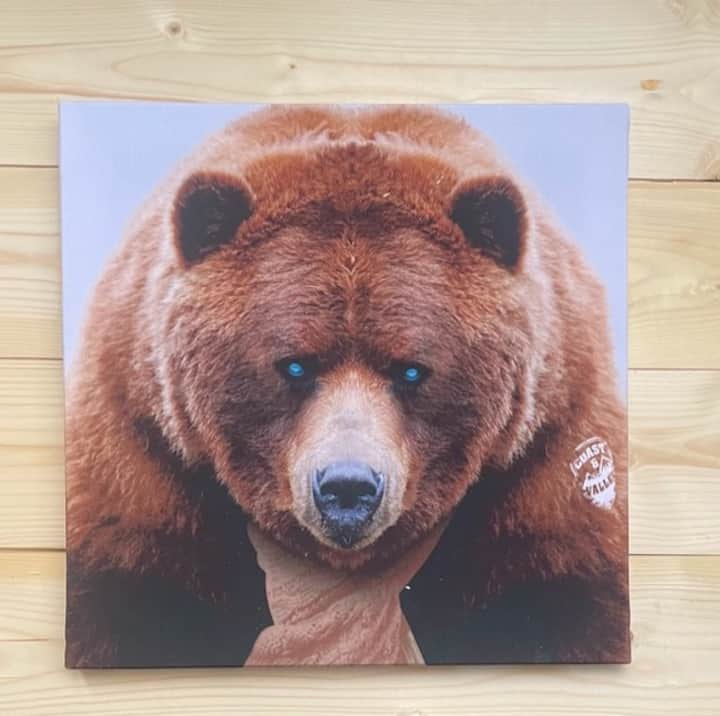 Superbe Pied à Terre Pour 6 à Coté Des Remontées - Nax