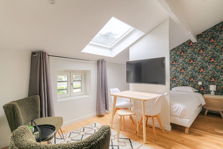 Joli Studio Rénové, Climatisation, Caluire/lyon - Caluire-et-Cuire