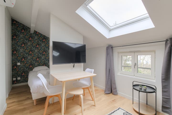 Studio Rénové, Clim, Parking, Caluire/lyon - Caluire-et-Cuire