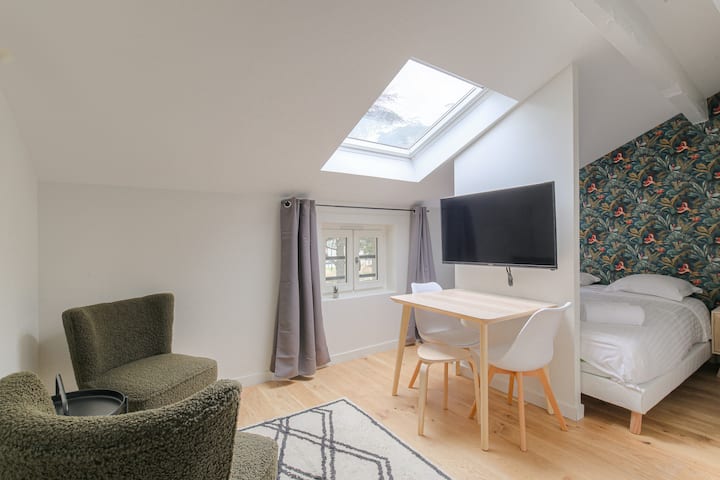 Studio Cosy & Climatisé - Caluire/lyon - Caluire-et-Cuire